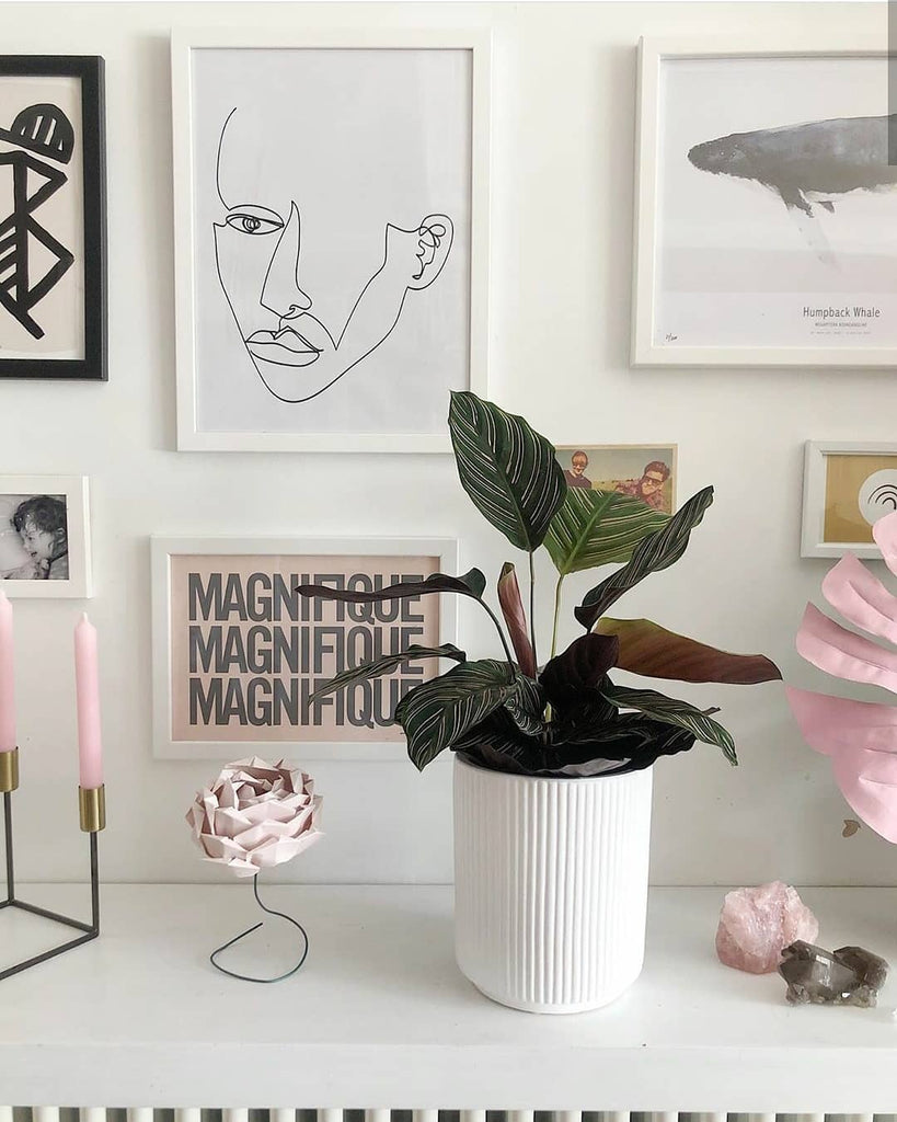 ORIGAMI PEONIES WORKSHOP /// 22nd MARCH 2026 /// THE COAL HATCH . WOBU ...